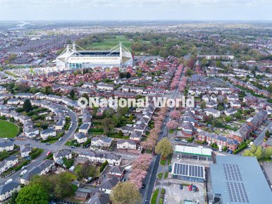 39961612-Cherry Blossom Trees on Blackpool Road in Preston. Photo ...