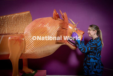 39962971-Curator of archeology Kat Baxter with the Fantasy Coffin made ...