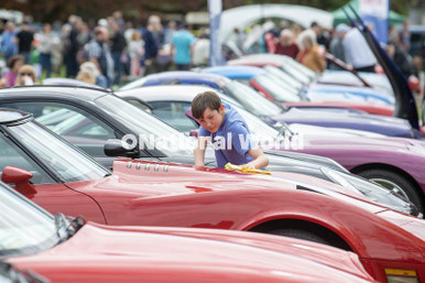 39964665-Joseph Watts polishes his fathers motor at the Sportscars in ...