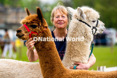 39965163-Duncombe Park Country Fair 2024, at Helmsley, North Yorkshire ...