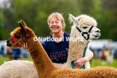 39965162-Duncombe Park Country Fair 2024, at Helmsley, North Yorkshire ...