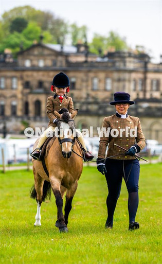 39965157-Duncombe Park Country Fair 2024, at Helmsley, North Yorkshire ...
