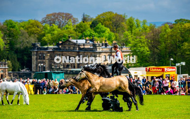 39965170-Duncombe Park Country Fair 2024, at Helmsley, North Yorkshire ...