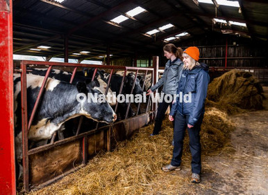 39970160-CountryPost - Catherine Calvert, who runs Hazel Brow Farm, Low ...