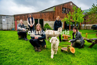 39970158-CountryPost - Catherine Calvert, who runs Hazel Brow Farm, Low ...