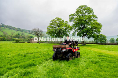 39970174-CountryPost - Catherine Calvert, who runs Hazel Brow Farm, Low ...