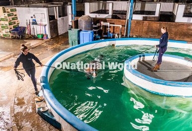 39970570-CountryPost - Farmer Stuart Currie, of Beautry Farm, Rathmell ...