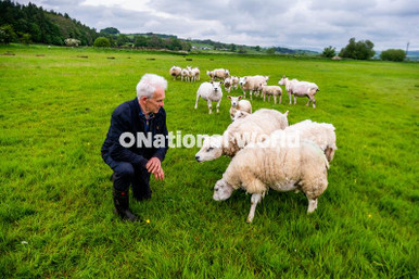 39970623-CountryPost - Farmer Stuart Currie, of Beautry Farm, Rathmell ...
