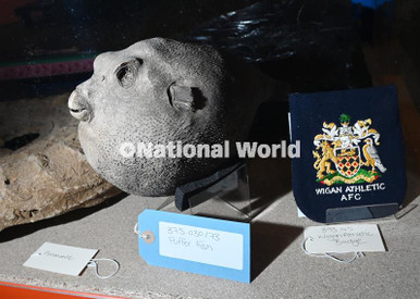 39971119-We take a look at What's in Store? The new exhibition at The ...