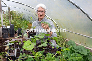 39985294-Vanessa Cook an inspiring 80-year-old with a lifetime of ...