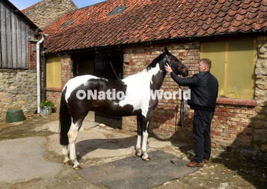 39986256-Scott Green Langton Road Norton, Malton. Scott is pictured ...