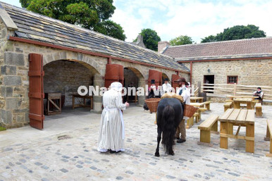 39989382-Preview of Geogian Drovers Tavern and Pottery exhibits at ...