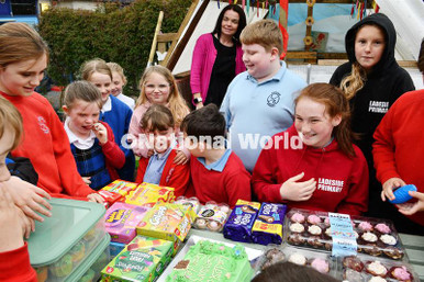 39989490-20-06-2024. Picture Michael Gillen. LARBERT, Ladeside Primary ...