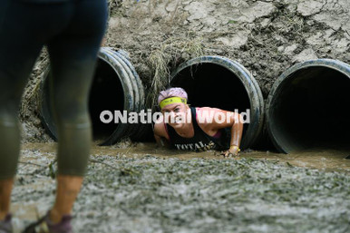 39990723-Total Warrior the UKâ€™s largest obstacle course race and mud ...