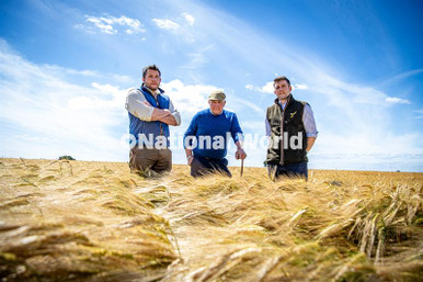 39999654-Ben Dale with sons Edward and Sam with the winter barley crop ...