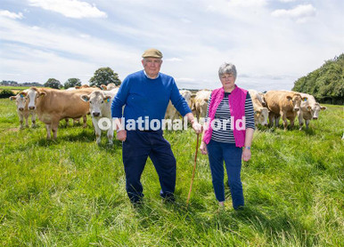 39999648-Ben and Kate Dale with their Charolais Cross herd at Rooker ...