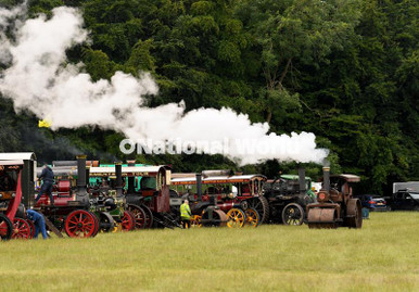 39999947-Steam and Vintage Rally at Duncombe Park, Helmsley. Picture ...