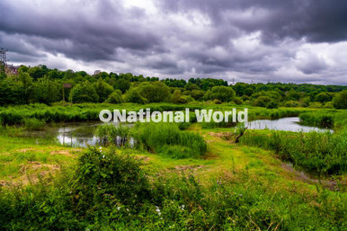 40002596-Rodley Nature Reserve, Leeds. Picture By Yorkshire Post ...