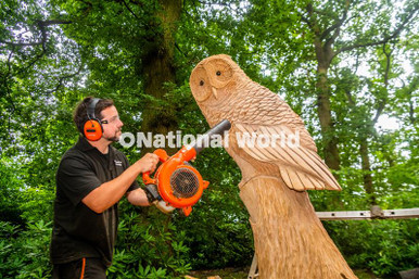 40003053-Great Yorkshire Show - Day 3 - Pictured Yorkshire Carving ...
