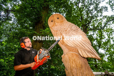 40003051-Great Yorkshire Show - Day 3 - Pictured Yorkshire Carving ...
