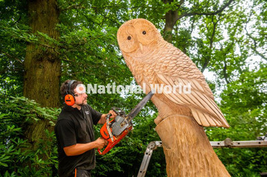 40003050-Great Yorkshire Show - Day 3 - Pictured Yorkshire Carving ...