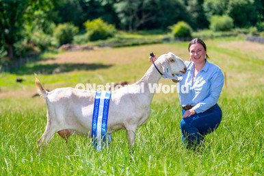 40009801-CountryPost - Goat breeder Sam & Jess Cutler Marsh Valley Farm ...