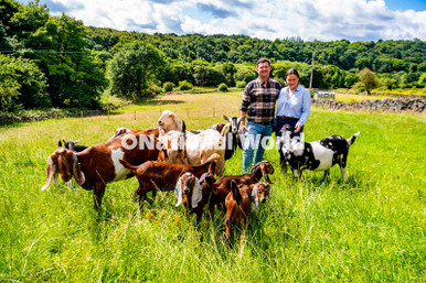 40009823-CountryPost - Goat breeder Sam & Jess Cutler Marsh Valley Farm ...