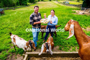 40009808-CountryPost - Goat breeder Sam & Jess Cutler Marsh Valley Farm ...