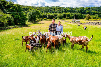 40009807-CountryPost - Goat breeder Sam & Jess Cutler Marsh Valley Farm ...