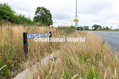 40010535-William Young Way off Edith Rigby Way. Photo: Kelvin Lister ...