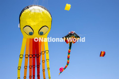 40012092-Portsmouth Kite Festival continued on Sunday with incredible ...