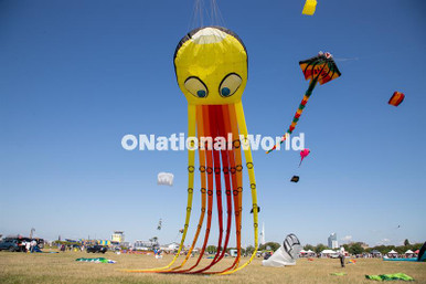 40012091-Portsmouth Kite Festival continued on Sunday with incredible ...