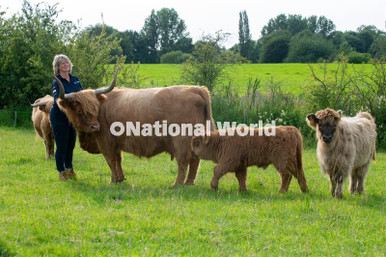40014209-Andrew Letten of Russell Farm, Otley, who is involved with ...