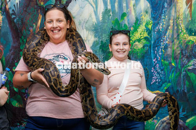 40020609-24-08-10- Big Dino Weekend Falkirk, pictured with snake at ...