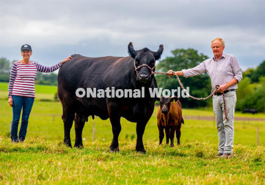 40023014-CountryPost - Cattle farmer David and Penny Evans, of ...
