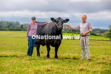 40023012-CountryPost - Cattle farmer David and Penny Evans, of ...