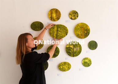 40028784-Exhibition by Artist Rachel McDonnell, called Woodland â ...