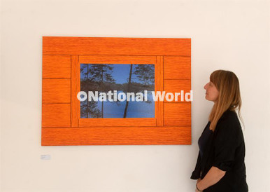 40028781-Exhibition by Artist Rachel McDonnell, called Woodland â ...