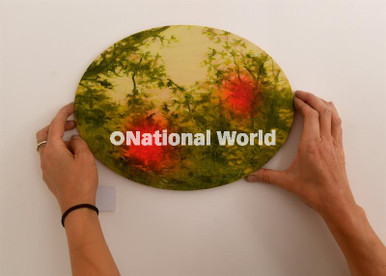 40028779-Exhibition by Artist Rachel McDonnell, called Woodland â ...