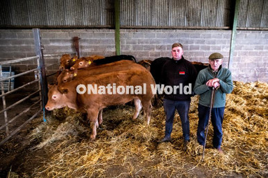 40029218-Country Post - Danny Brooke, of Brough Farm Middleham, North ...