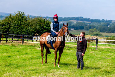 40029210-Country Post - Danny Brooke, of Brough Farm Middleham, North ...