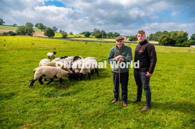 40029206-Country Post - Danny Brooke, of Brough Farm Middleham, North ...