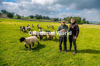 40029205-Country Post - Danny Brooke, of Brough Farm Middleham, North ...