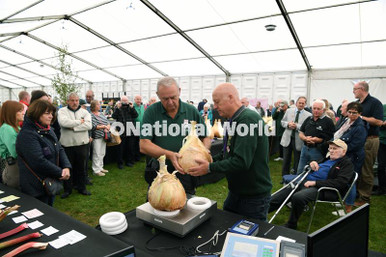 40035875-The Harrogate Autumn Flower Show at Newby Hall, Ripon ...