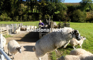 40036926-Graham Tibbot pictured at Summerstone Estate Farm, Holme Farm ...