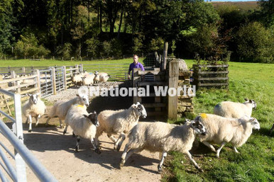 40036923-Graham Tibbot pictured at Summerstone Estate Farm, Holme Farm ...