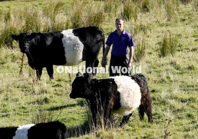 40036922-Graham Tibbot pictured at Summerstone Estate Farm, Holme Farm ...