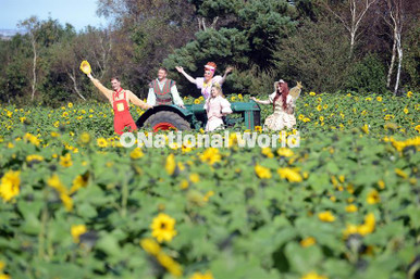 40036968-Sunderland Empire panto lunch of Jack and the Beanstalk at ...