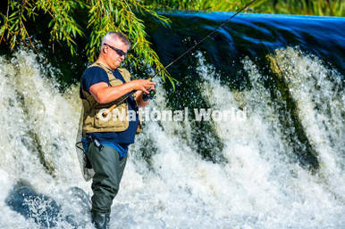 40037471-An angler expertly lure fishing on Tadcaster Weir, a 200ft ...