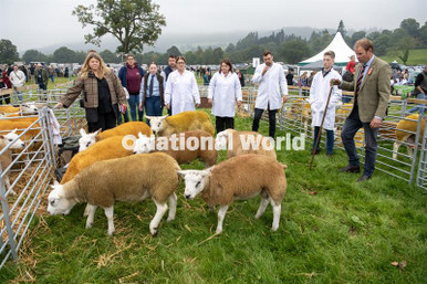 40039432-Judge Charles Ashbridge casts his eye over the entries for the ...
